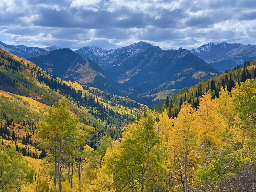 Big Cottonwood Canyon Fall Colors - Michael Bradshaw